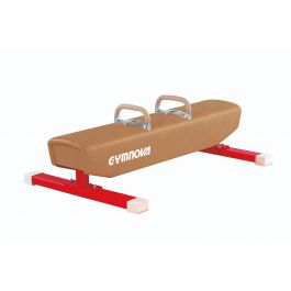 CHEVAL D'ARÇONS BAS - HAUTEUR 40 cm