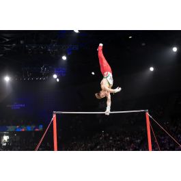 Barre fixe | GYMNOVA